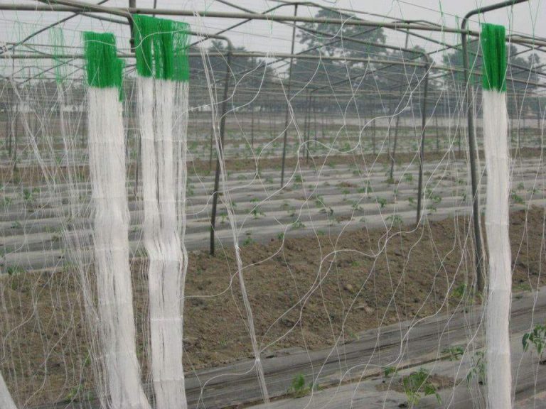 Plant Support Nets - Pak Agro Packaging Ltd.